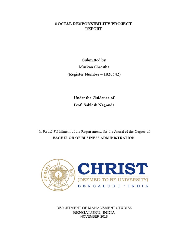 Social Responsibility Project Report | PDF | Corporate Social ...
