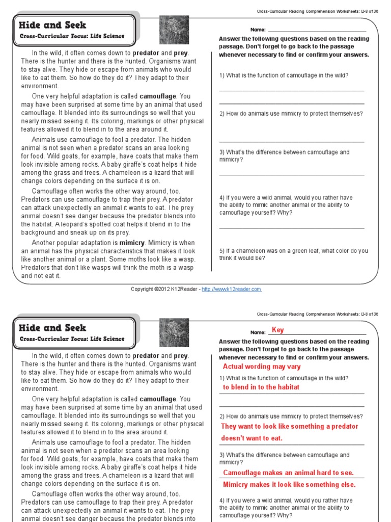 Gr4 Wk8 Hide and Seek PDF | PDF | Camouflage | Predation
