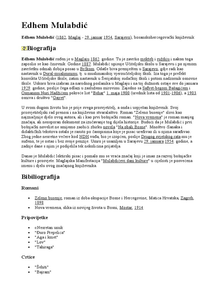 Edhem Mulabdic PDF | PDF