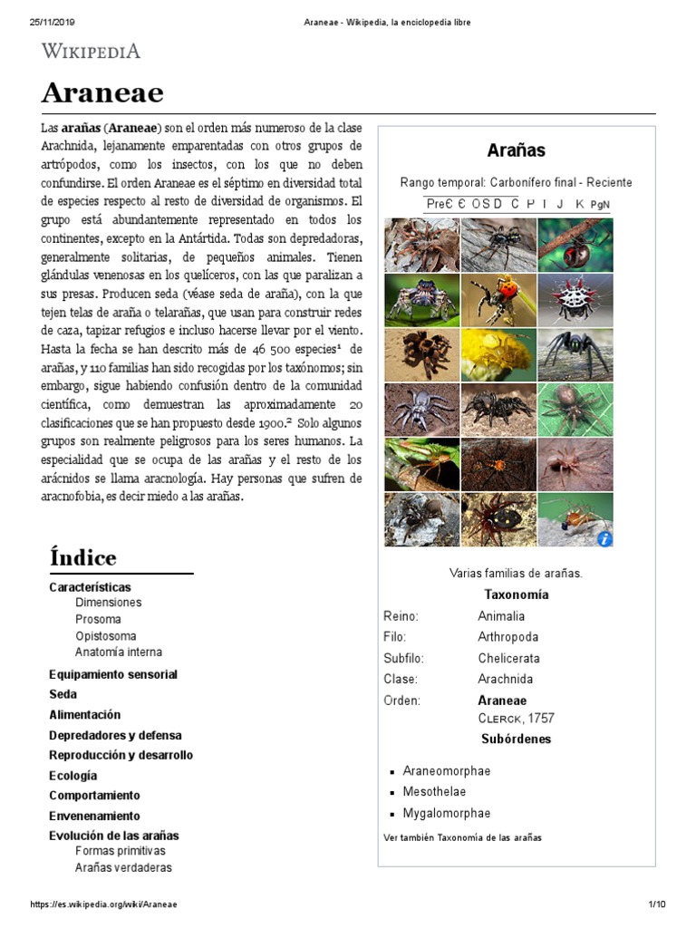 Arañas | PDF | Arácnidos | Araña