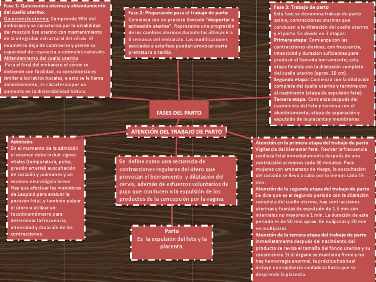 Mapa Conceptual Atencion Del Trabajo de Parto | PDF | Parto | Salud ...