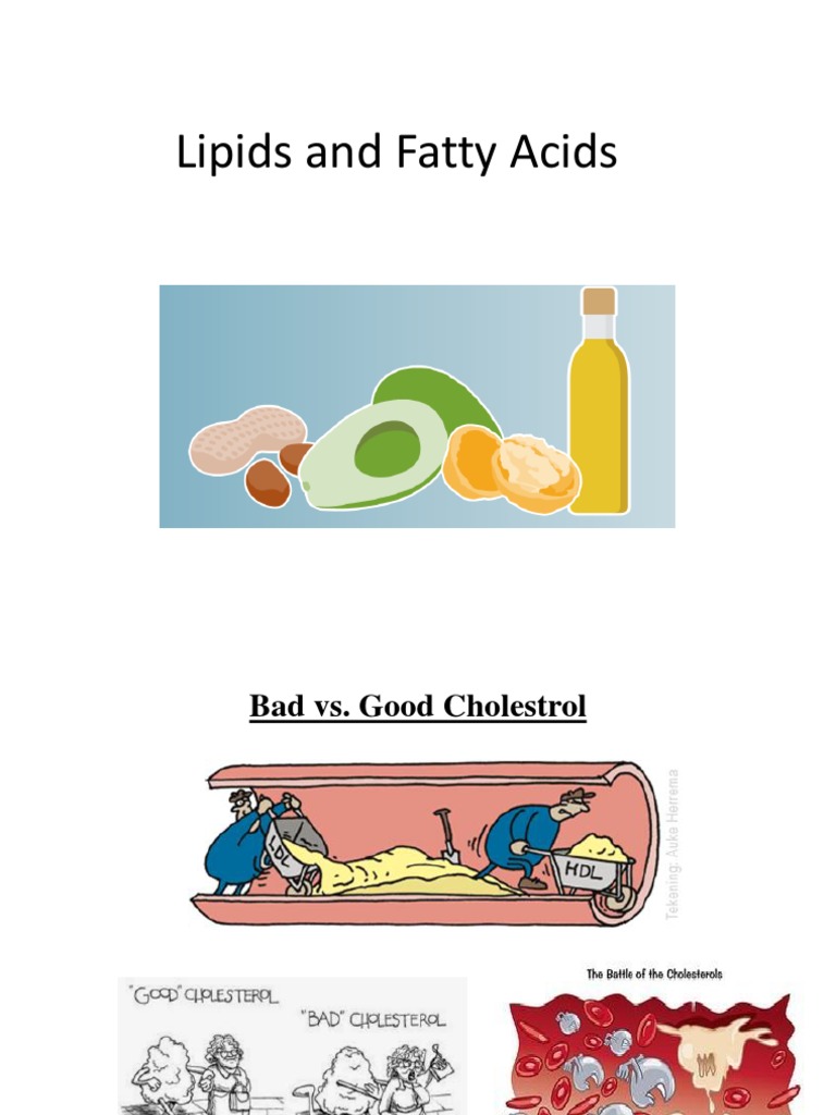 Lipids and Fatty Acids | PDF | Omega 3 Fatty Acid | Fish Oil