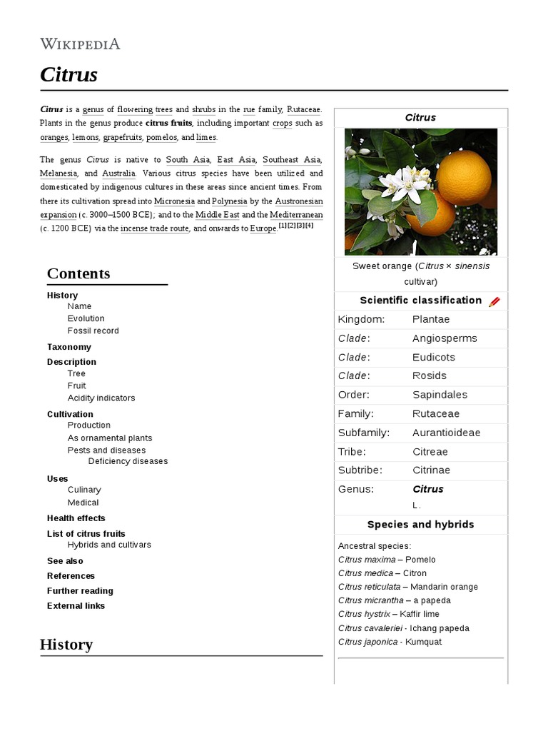 Citrus | PDF | Citrus | Lime (Fruit)