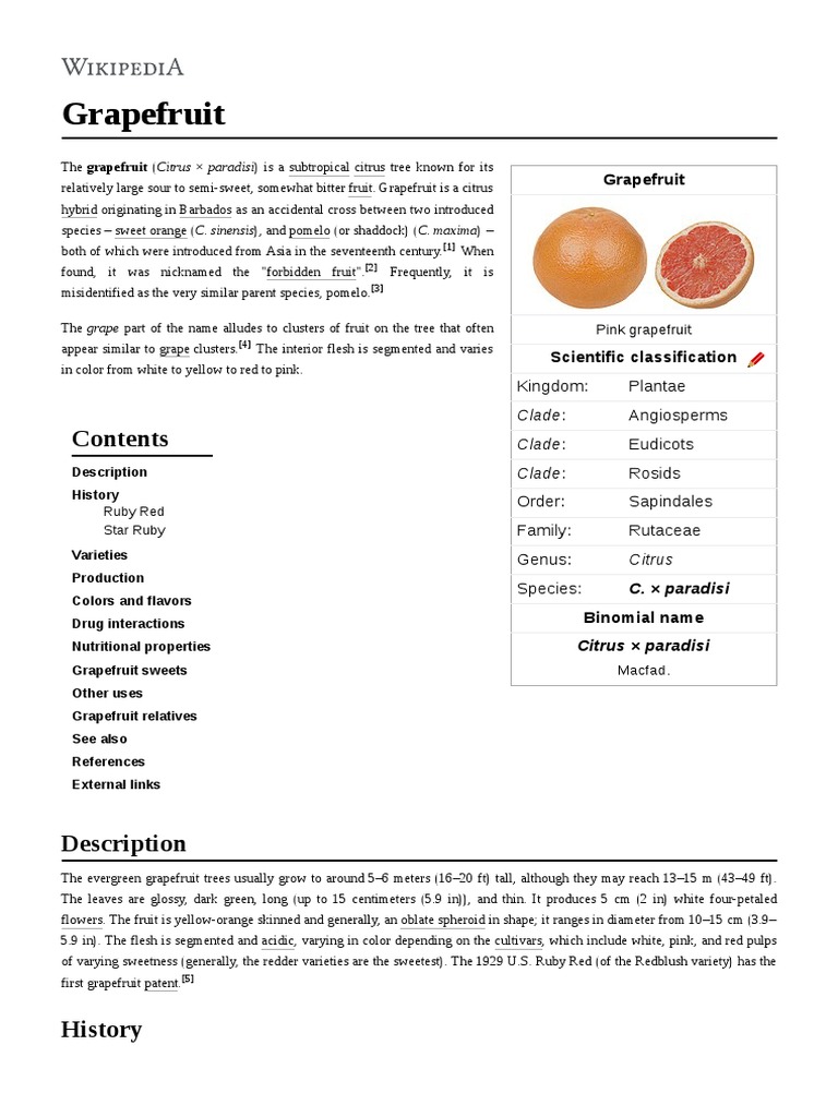 Grapefruit | PDF | Grapefruit | Fruit