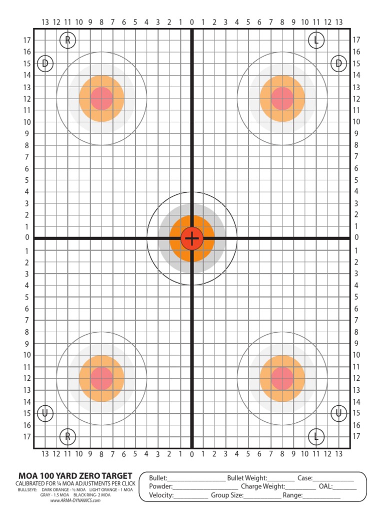 MOA 100 Yard Zero Target Guide | PDF | Minute And Second Of Arc | Firearms