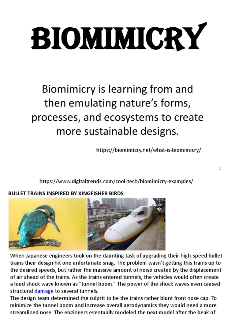 12 Examples of Biomimicry: Nature-Inspired Designs from Bullet Trains ...