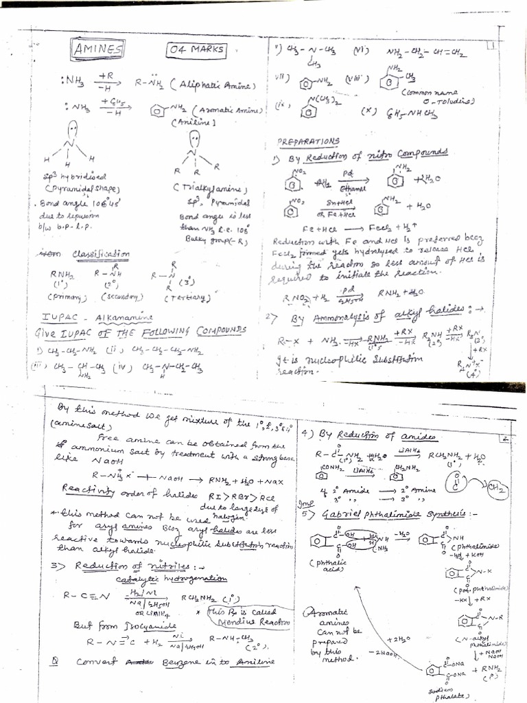 Amines Notes Class 12 | PDF
