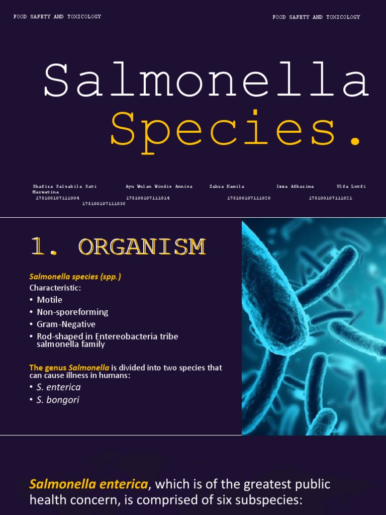 Salmonella | PDF | Salmonella | Foodborne Illness
