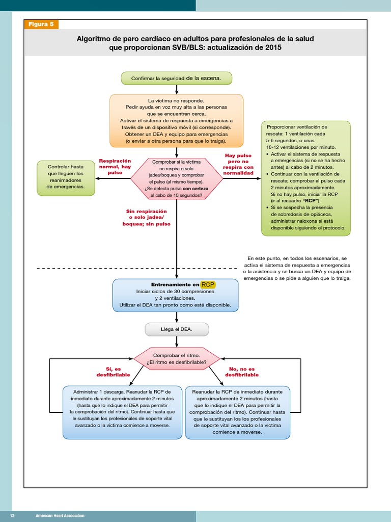 Algoritmo SVB Adulto 2015 | Descargar gratis PDF | Reanimación ...