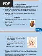 ESCALA DE ARMSTRONG (Todas Las Cat) | PDF