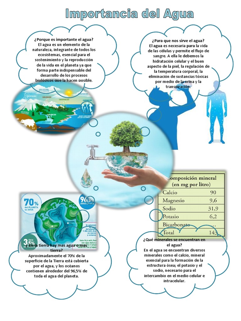INFOGRAFIA | PDF | Río | río Amazonas