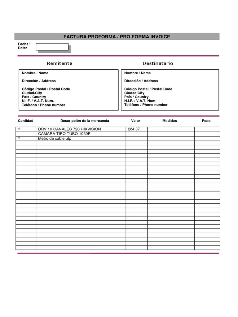 Modelo Proforma | PDF