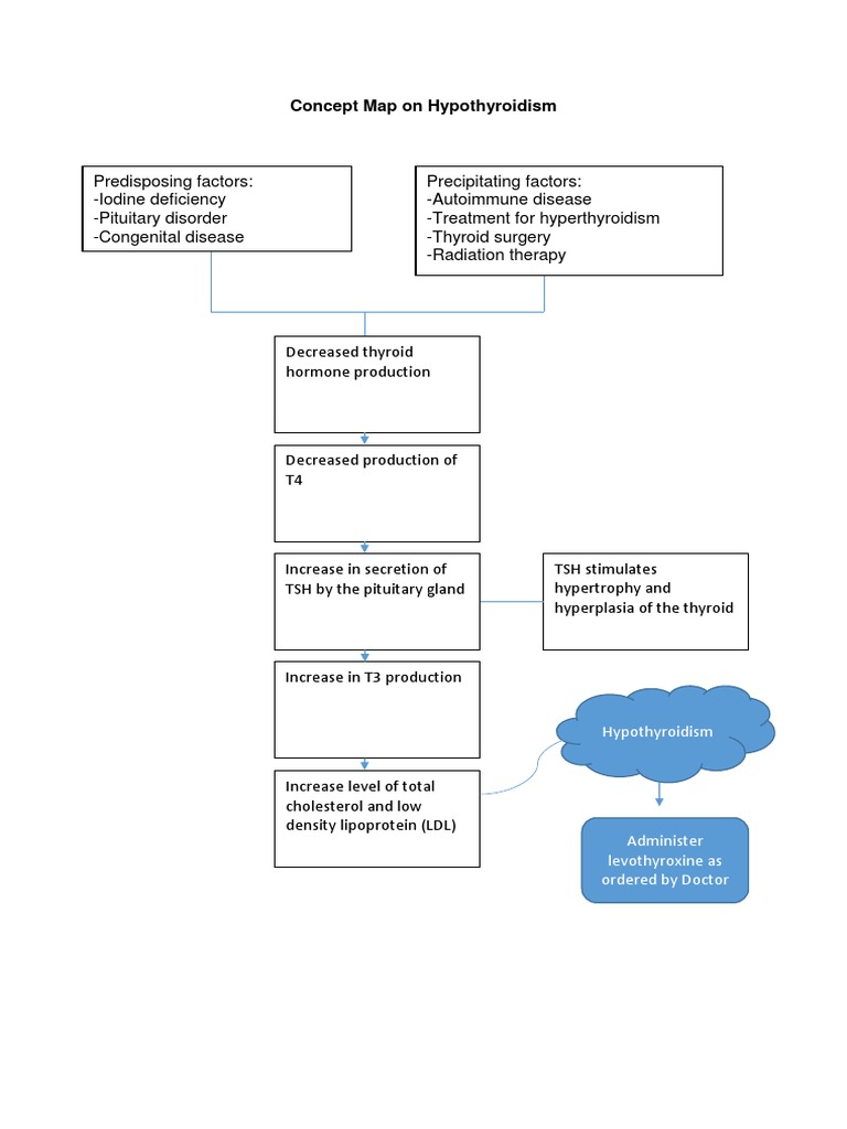 Hypothyroidism Concept Map Overview | PDF