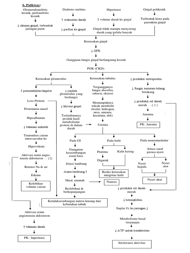 Pathway CKD | PDF