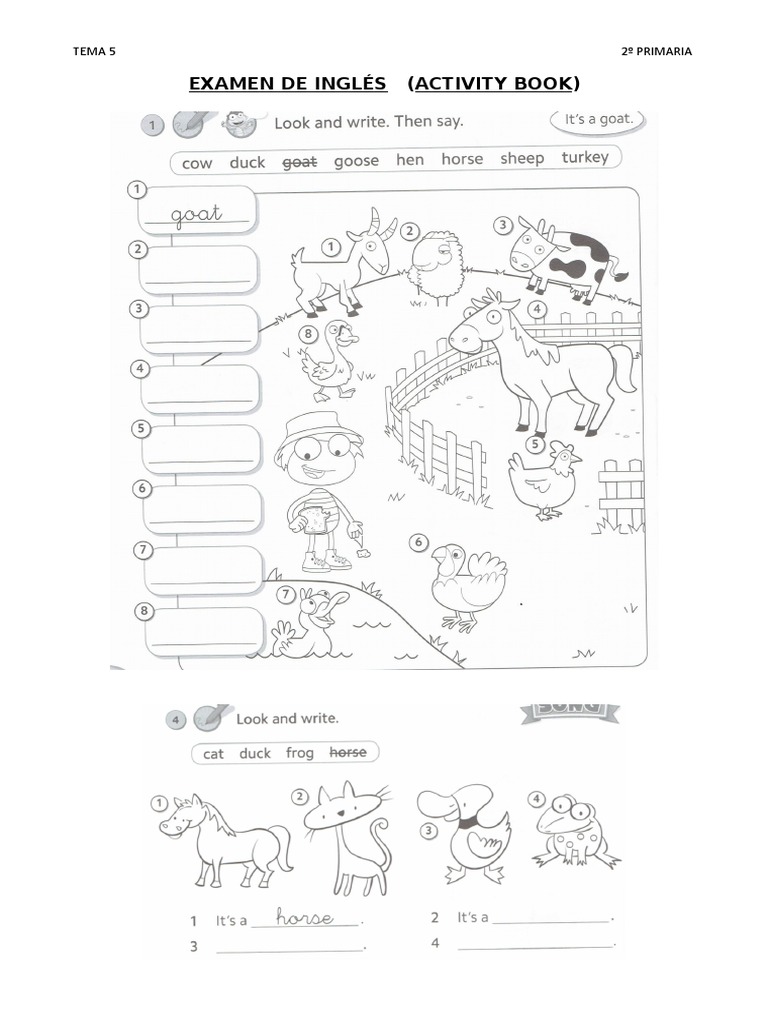 Examen Inglés T5 2primaria | PDF