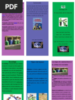 Triptico Basura | PDF | Residuos | Vertedero