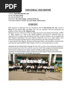 Industrial Visit Report | PDF