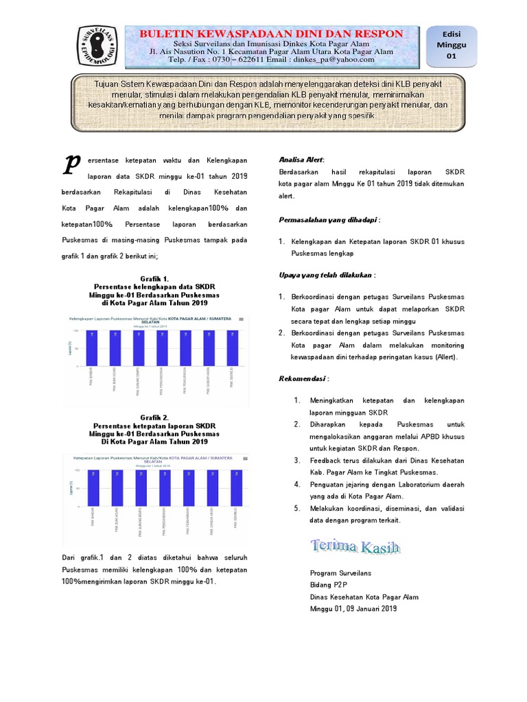 Buletin SKDR Surveilans Dinkes Kota | PDF