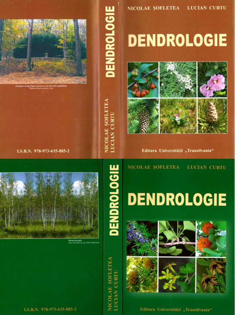 Dendrologie Sofletea Curtu Editia 2007 | PDF