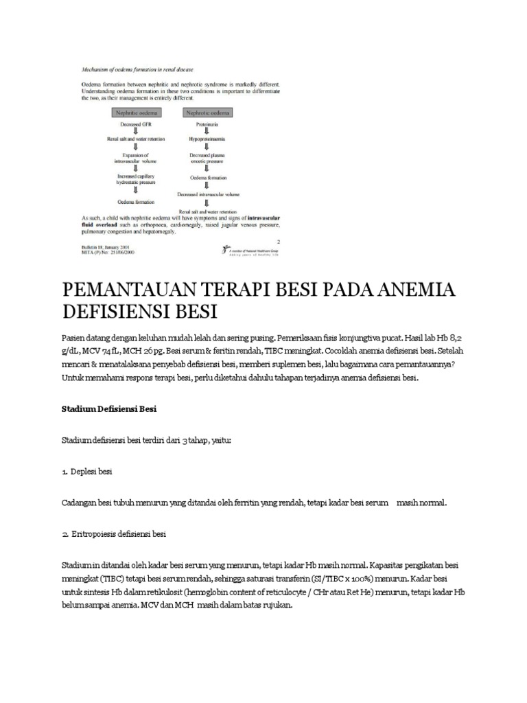 Pemantauan Terapi Besi Pada Anemia Defisiensi | PDF