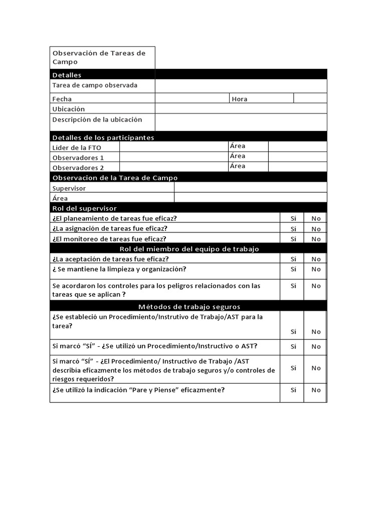 Formato FTO MMG Field Task Observation-Spanish-Template | PDF