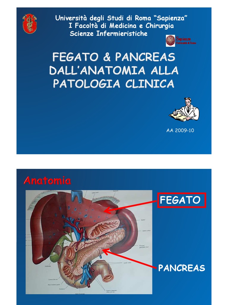 Fegato Pancreas | PDF
