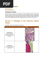 (Anatomy & Physiology Lecture) REPRODUCTIVE SYSTEM NOTES | PDF | Uterus ...