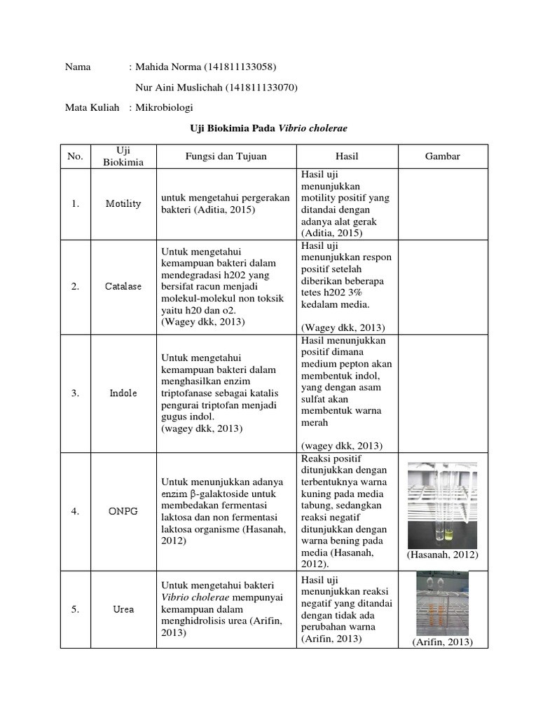 Uji Biokimia Pada Vibrio Cholerae | PDF