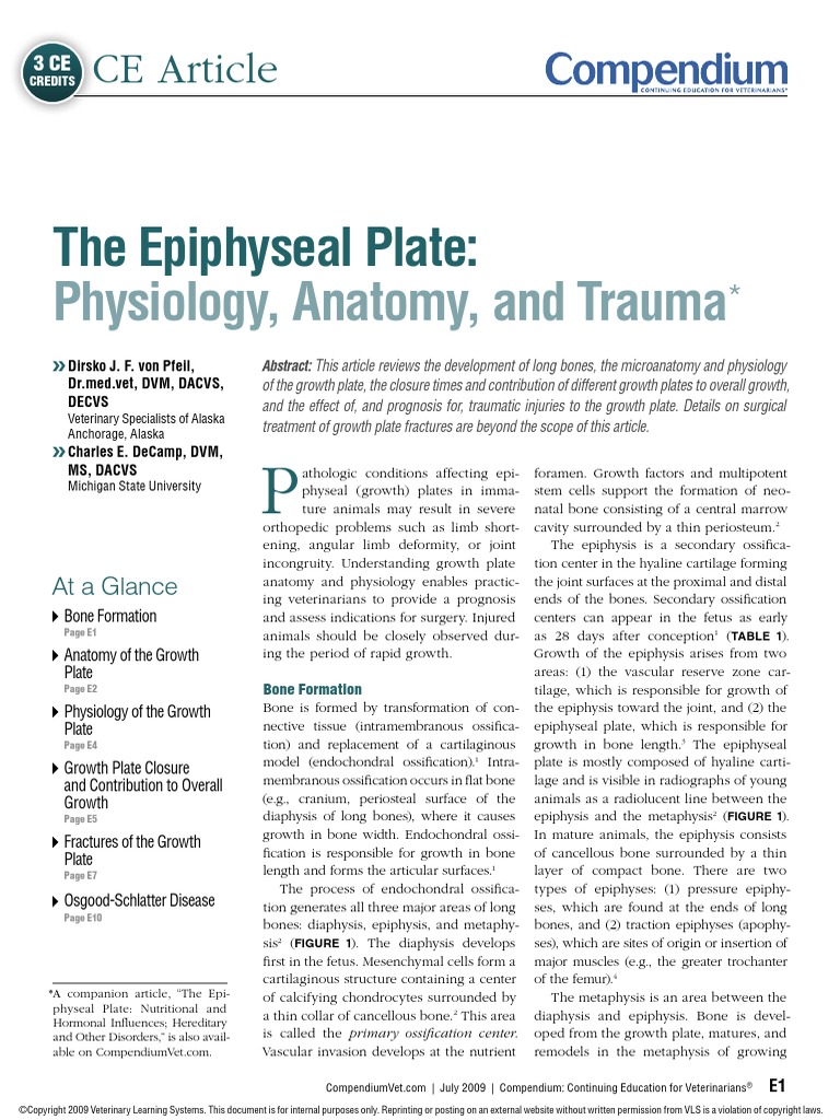 The Epiphyseal Plate: Physiology, Anatomy, and Trauma | PDF | Bone ...