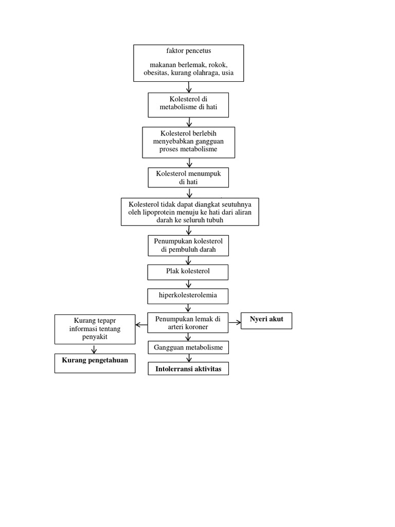 Pathway Kolesterol | PDF