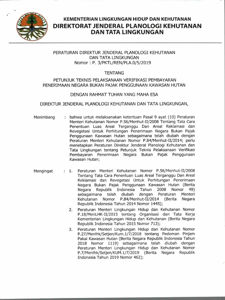 Perdirjen 3 - 2019 Juknis Verifikasi PNBP-PKH | PDF