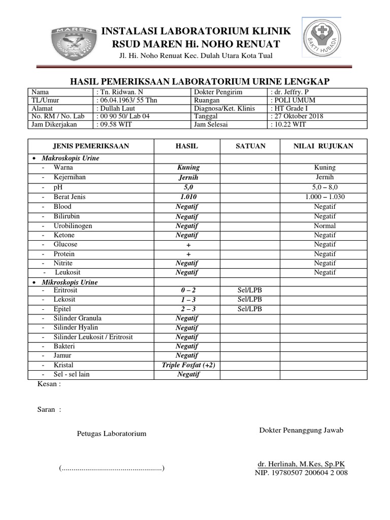 Blangko Urine | PDF | Nature