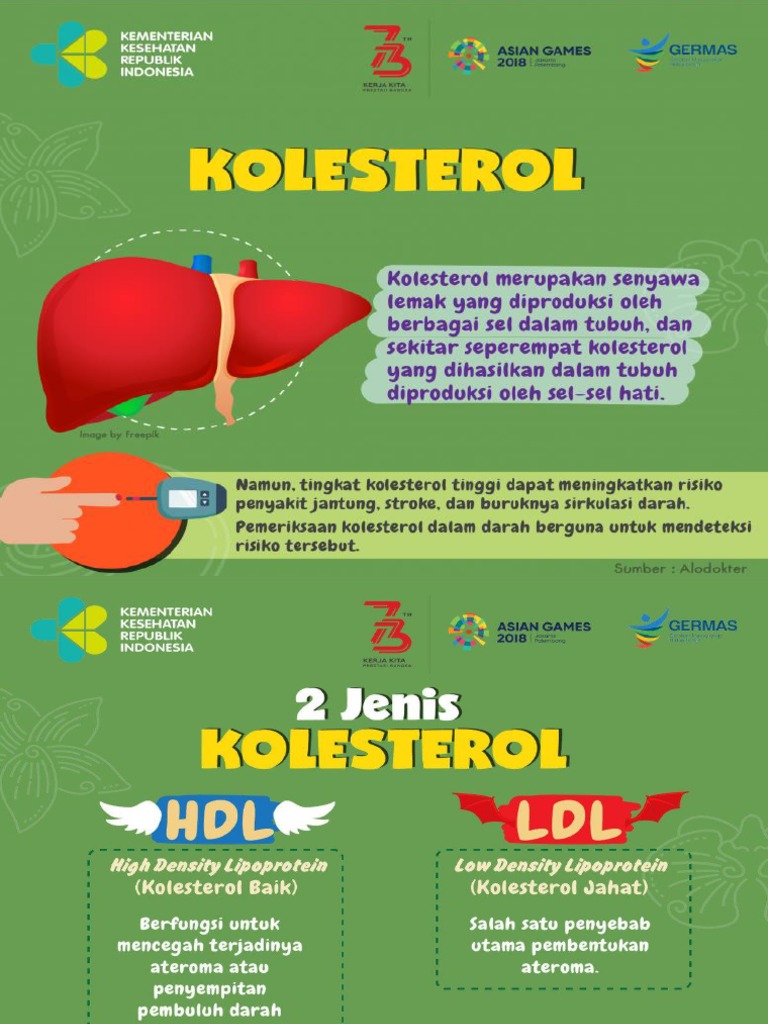 Kolesterol | PDF