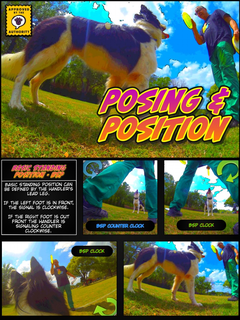 Pawsitive Vybe Sequence Building 1 - Posing & Position | PDF