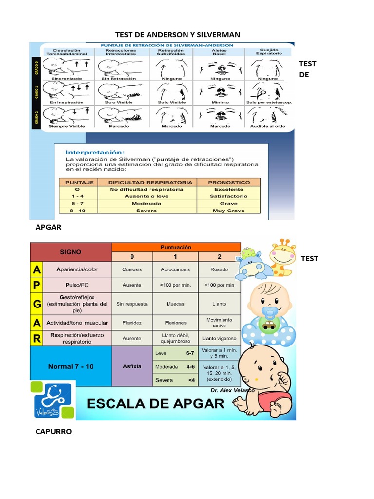 Test de Anderson y Silverman | PDF | Naturaleza