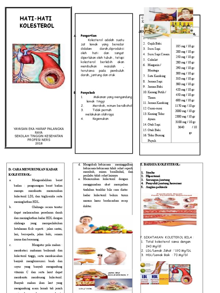 Leaflet Kolesterol | PDF