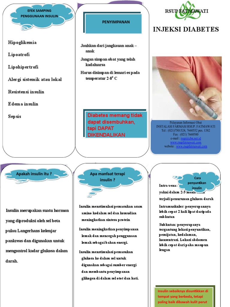 Leaflet DM Insulin | PDF