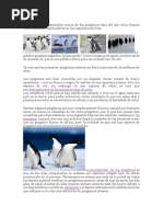 PINGÜINOS - Texto Expositivo | PDF | Pingüino | Pluma