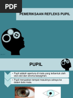 Ukuran Pupil Mata Normal dan Kelainan | PDF
