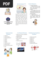 Leaflet Dismenore Fix | PDF