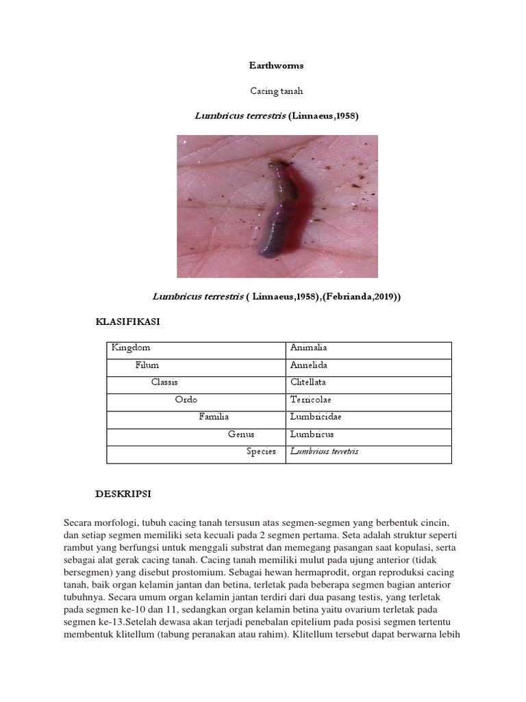 Earthworms Tia | PDF
