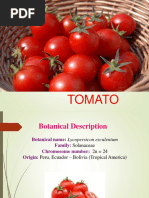 Solanaceous Vegetable Crops | PDF