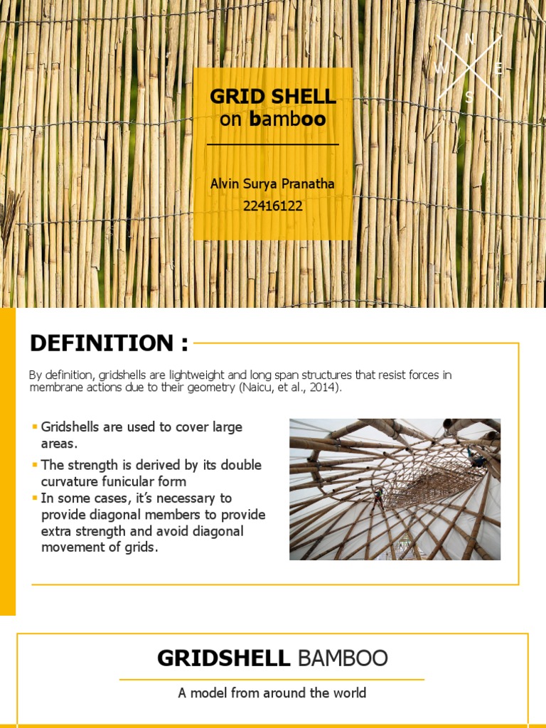 Grid Shell On Bamboo | PDF | Shape | Bending