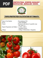 Crop Calendar Pakistan | PDF