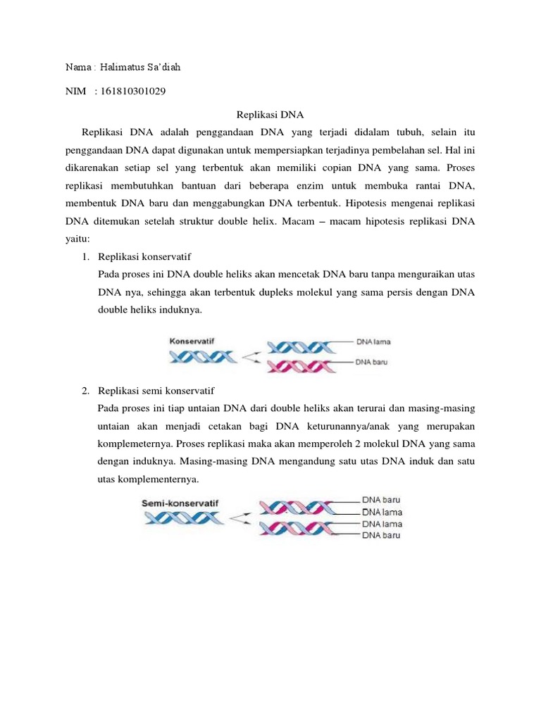 Replikasi DNA | PDF | Sains & Matematika