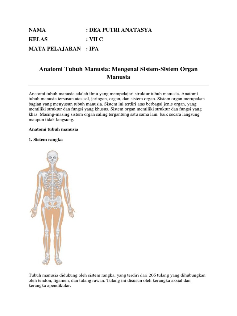 Anatomi Tubuh Manusia | PDF