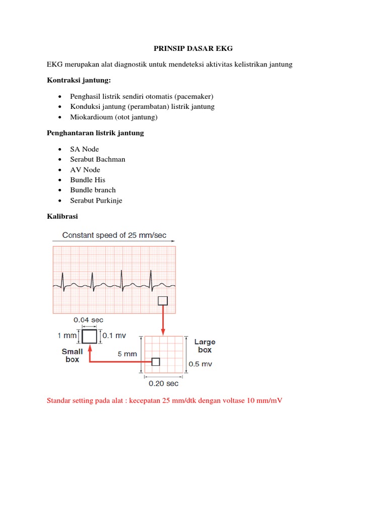 Prinsip Dasar Ekg | PDF