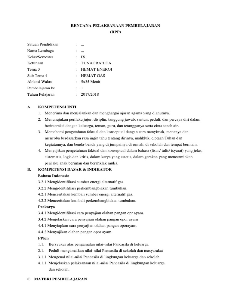 RPP IX Tunagrahita: Hemat Energi | PDF | Karier & Perkembangan
