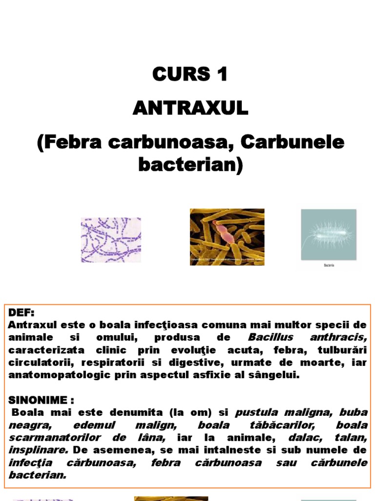 Antrax Curs | PDF
