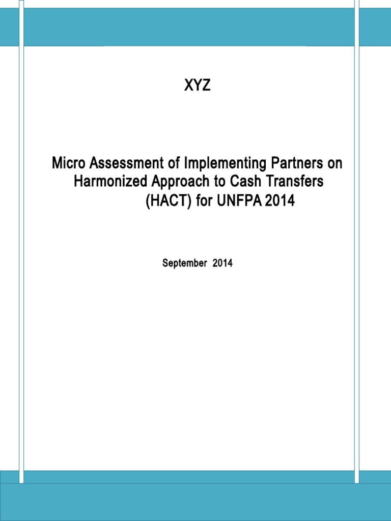 XYZ Micro Assessment Report | Download Free PDF | Internal Control ...